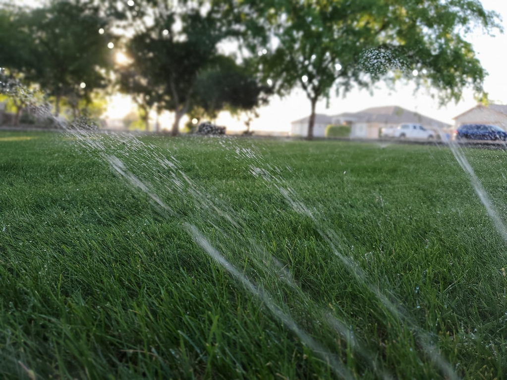 Let's see your yards! - Lawn Nerds - Rachio Community